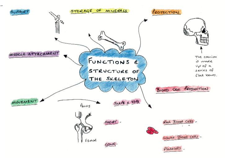 GCSE student checksheets | GCSE Simplified